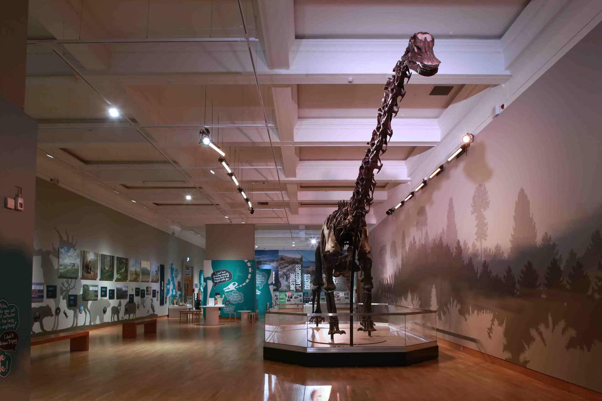 Dippy on Tour at the Ulster Museum | Marcon Heritage